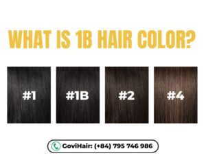 1, 1B Hair Color and 2 Color: What's the Difference | Govihair